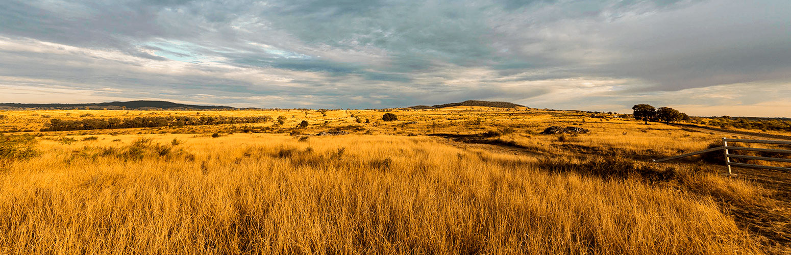 Senex Energy increases Atlas Project gas production - Coexistence ...